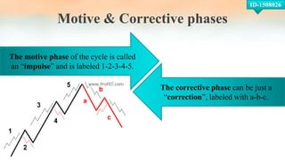 Presentation on Security Analysis and Portfolio Management | PPT