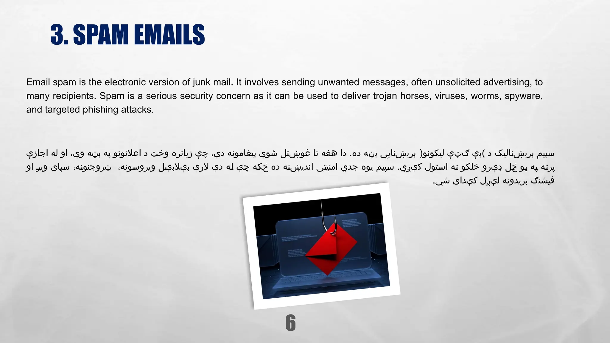 Cyber Security - English - Pashto Training | PPT