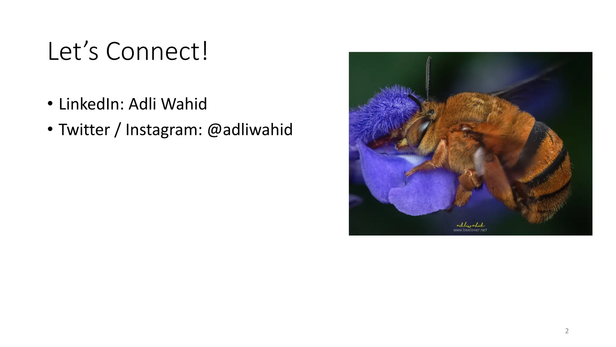 Afghanistan IGF 2023: The ABCs and importance of cybersecurity | PPT