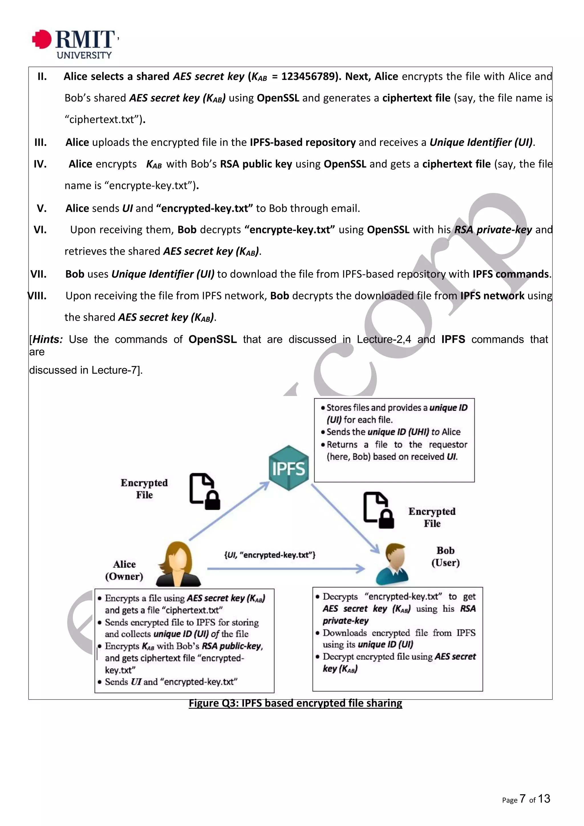 COSC2536/2537 Security in Computing and Information Technology Assignments | PDF
