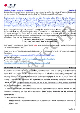 COSC2536/2537 Security in Computing and Information Technology Assignments | PDF