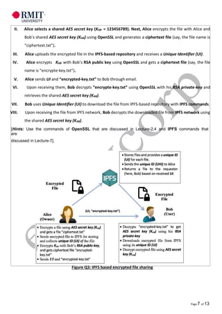 COSC2536/2537 Security in Computing and Information Technology Assignments | PDF