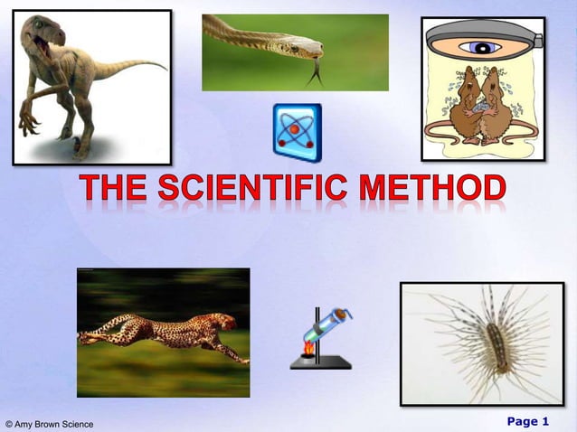 SED 214 Ecology 4th ppt. The Scientific Method | PPT