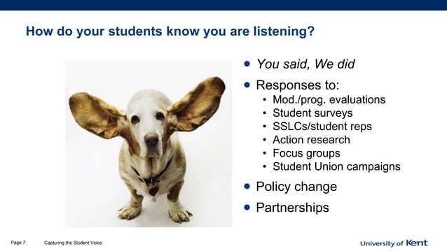 Capturing the student voice | PPT