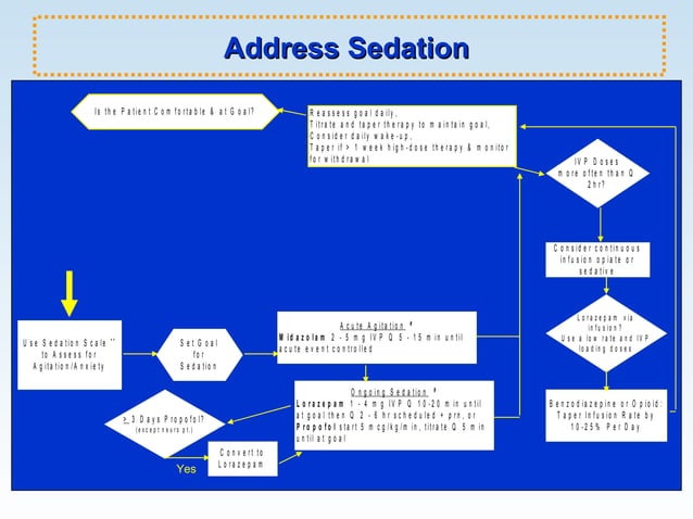 Sedation | PPT | Physical Therapy | Wellness
