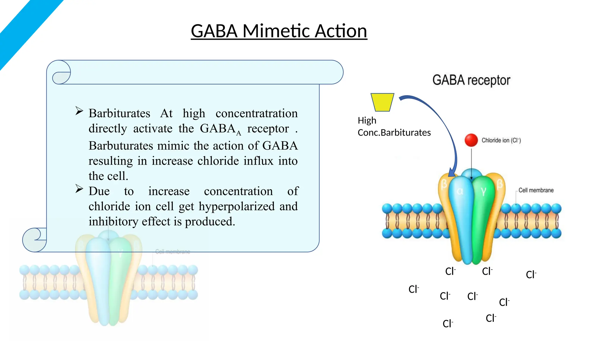 Sedative and Hypnotics including Barbiturates and Benzodiazepines.pptx