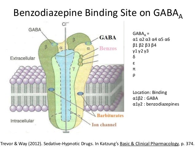 Sedative & Hypnotic Agents Part I