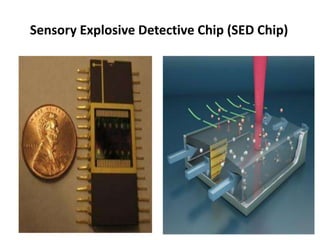 Sensory Explosive detective chip | PPTX