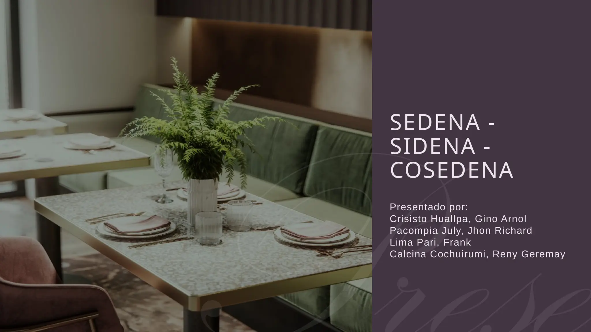 SEDENA - SIDENA - COSEDENA, estructura de las instituciones.pptx