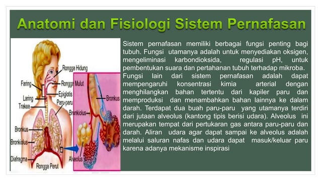 Sediaan inhalasi di farmasi rumah sakit I | PPTX