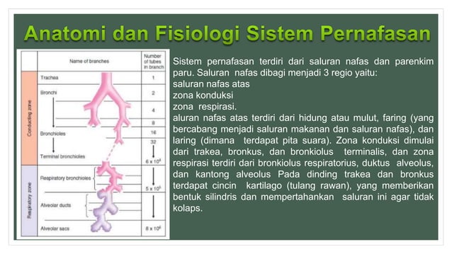 Sediaan inhalasi di farmasi rumah sakit I | PPTX