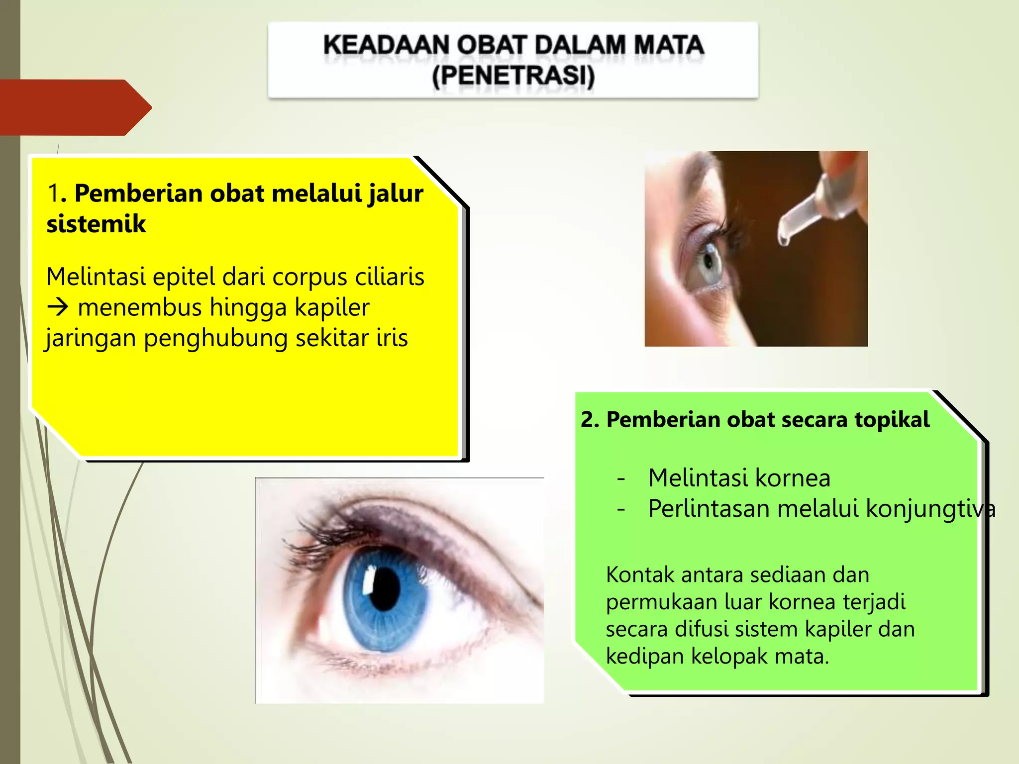 sediaan optalmik.pptx
