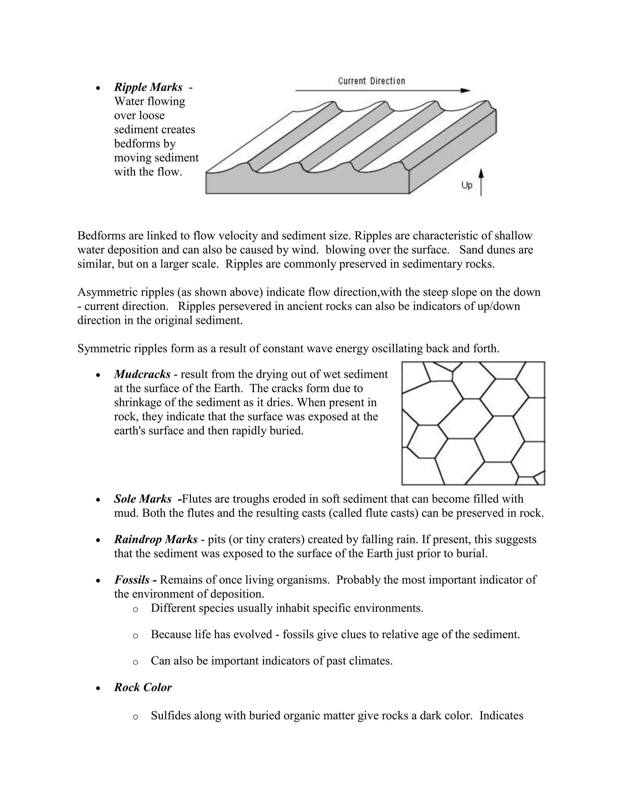 Sediment and sedimentary rocksssssssssssssssssssssss begin here | DOCX