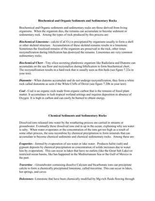Sediment and sedimentary rocksssssssssssssssssssssss begin here | DOCX ...