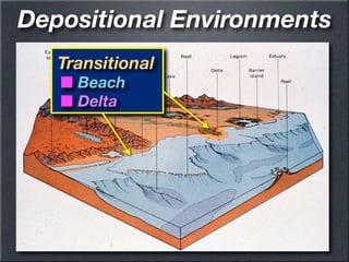Sedimentary rock’s geology ppt science ppt | PDF