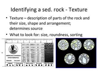 Sedimentary Rocks 1 | PPT