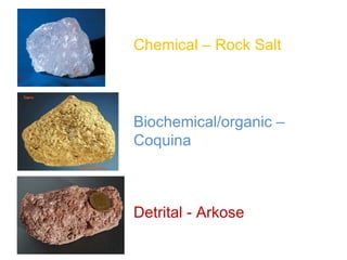 Sedimentary Rocks 1 | PPT