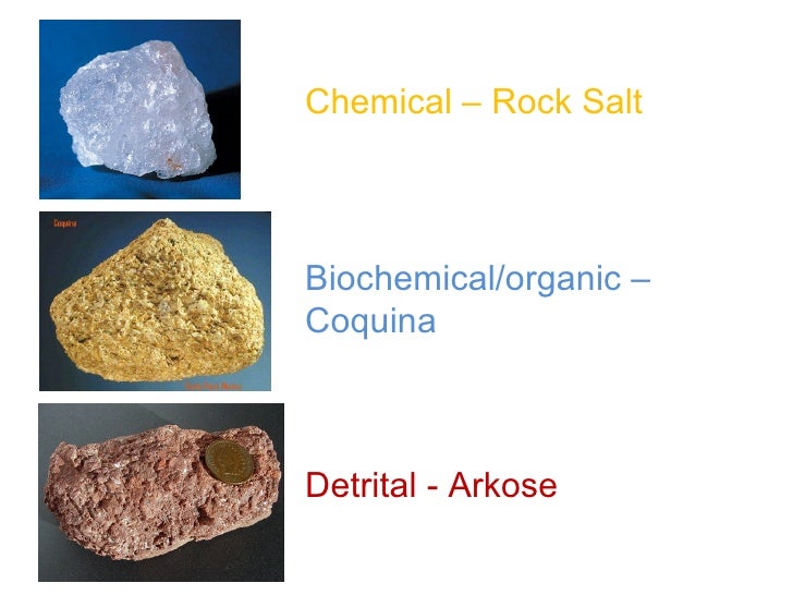 Biochemical Rocks
