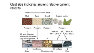 Sedimentary bhupesh ppt | PPT