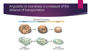 Sedimentary bhupesh ppt | PPT