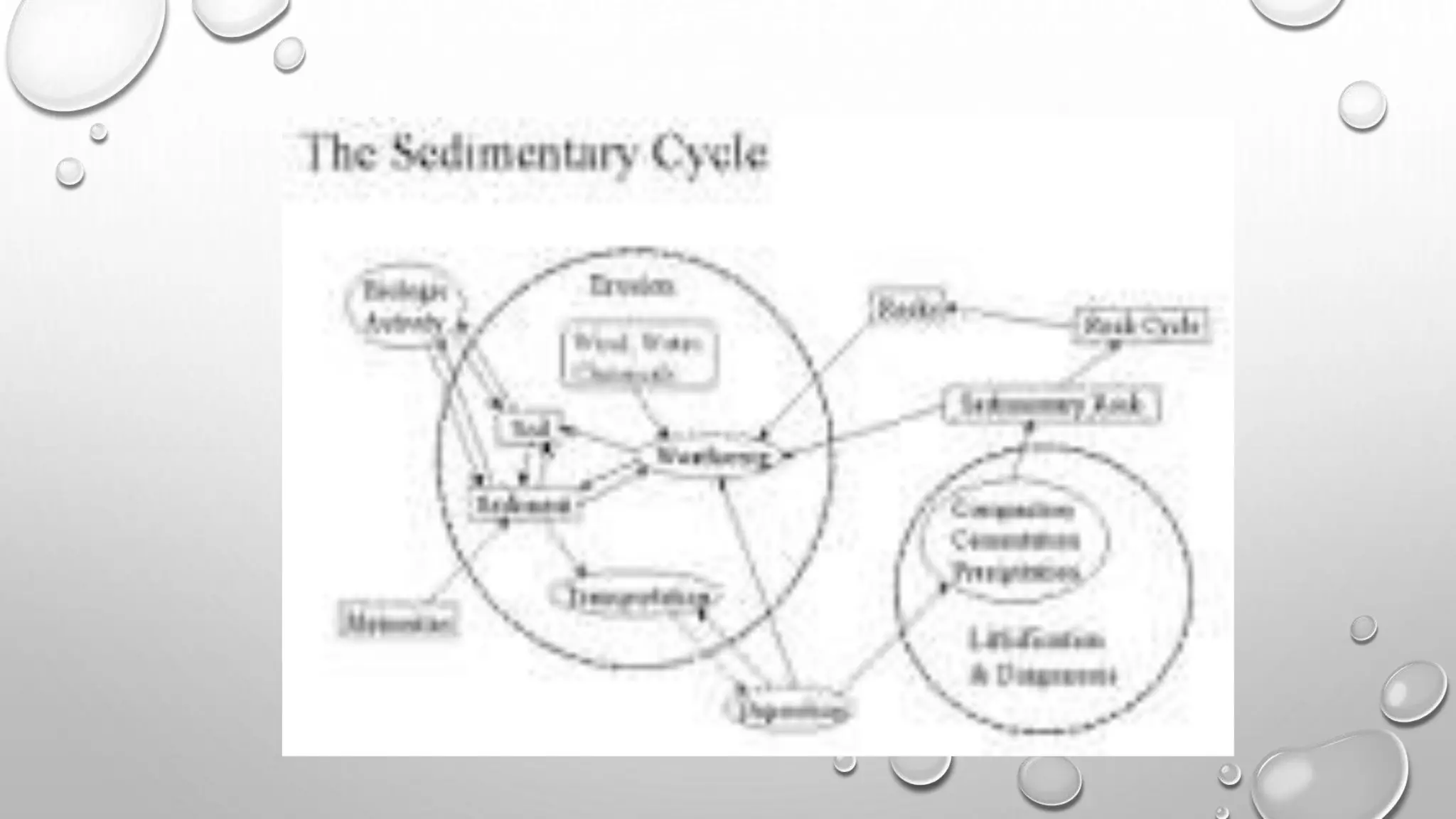Sedimentary cycle | PPTX