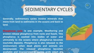 THE DIFFERENT FORMS AND PROCESSES OF SEDIMENTARY CYCLES | PPT