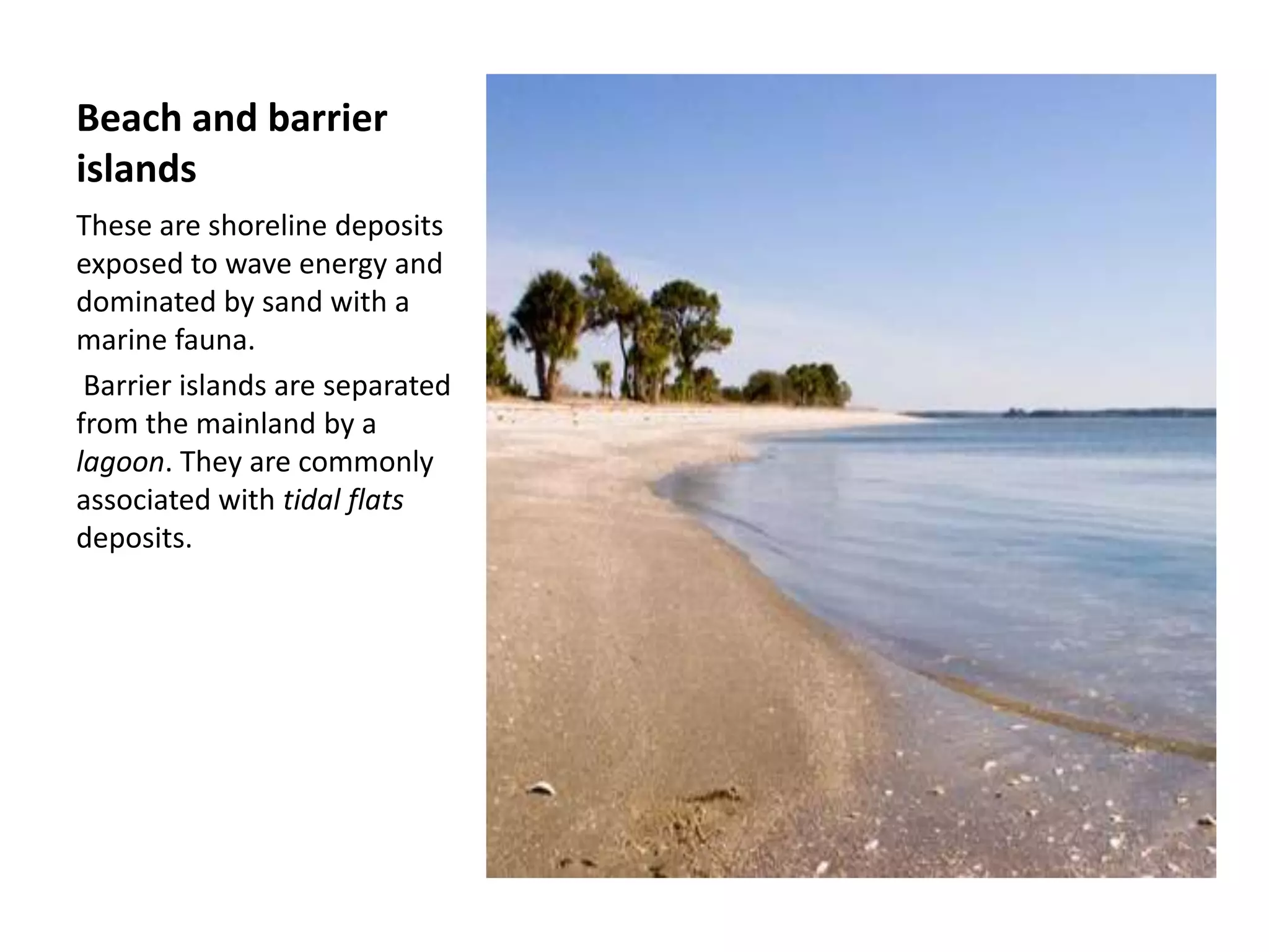 Sedimentary depositional environments | PPTX