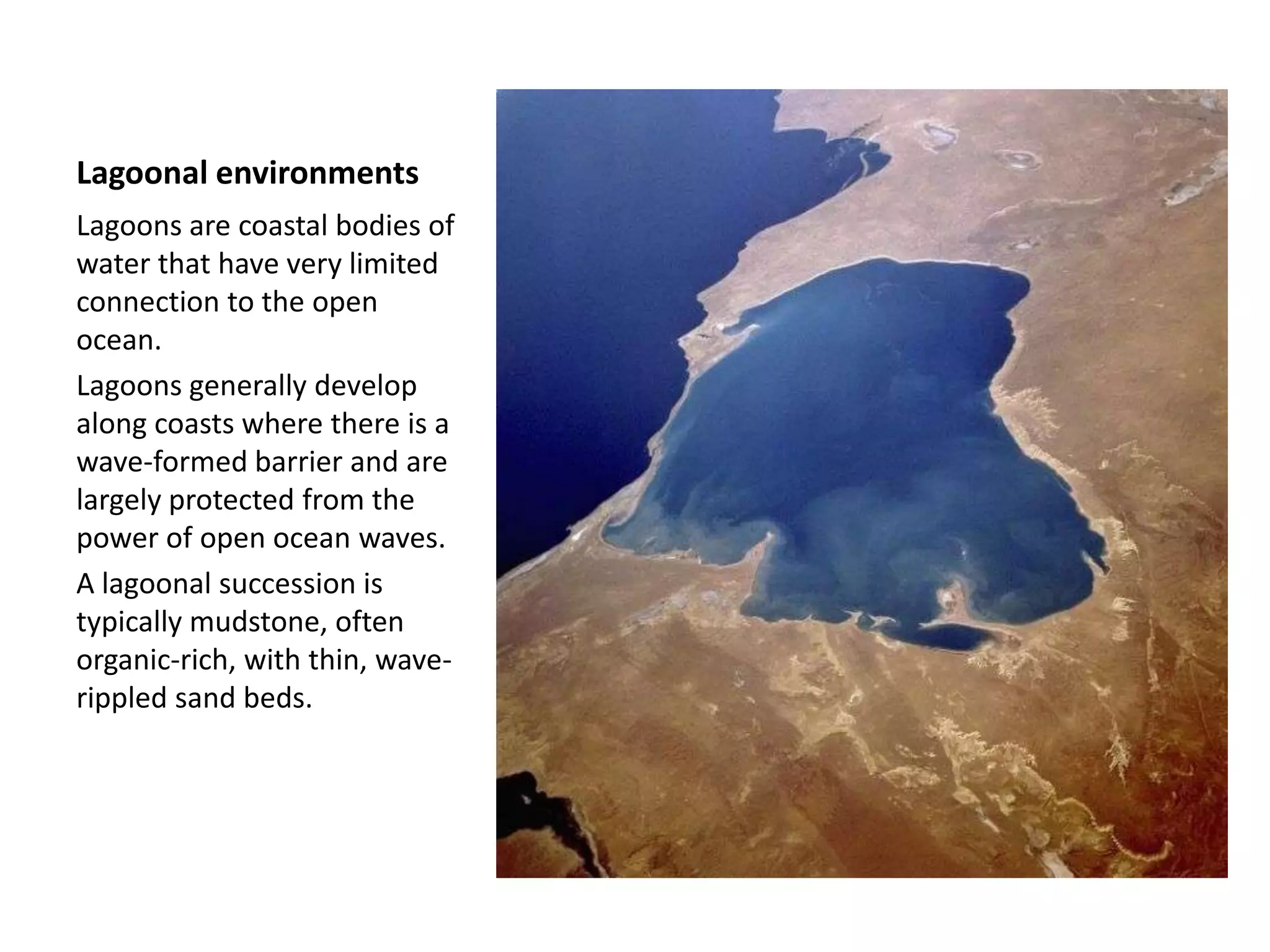 Sedimentary depositional environments | PPTX