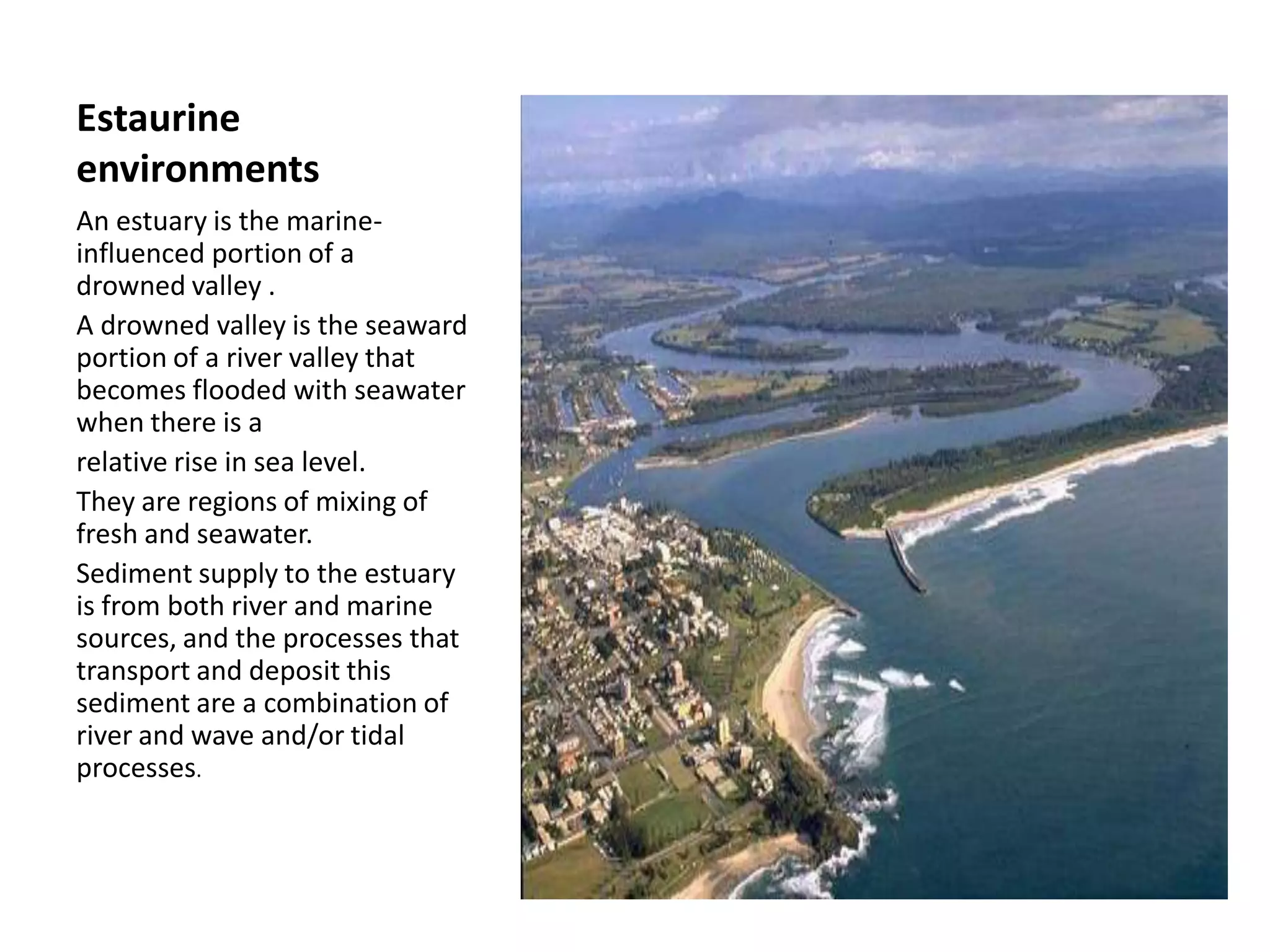 Sedimentary depositional environments | PPTX