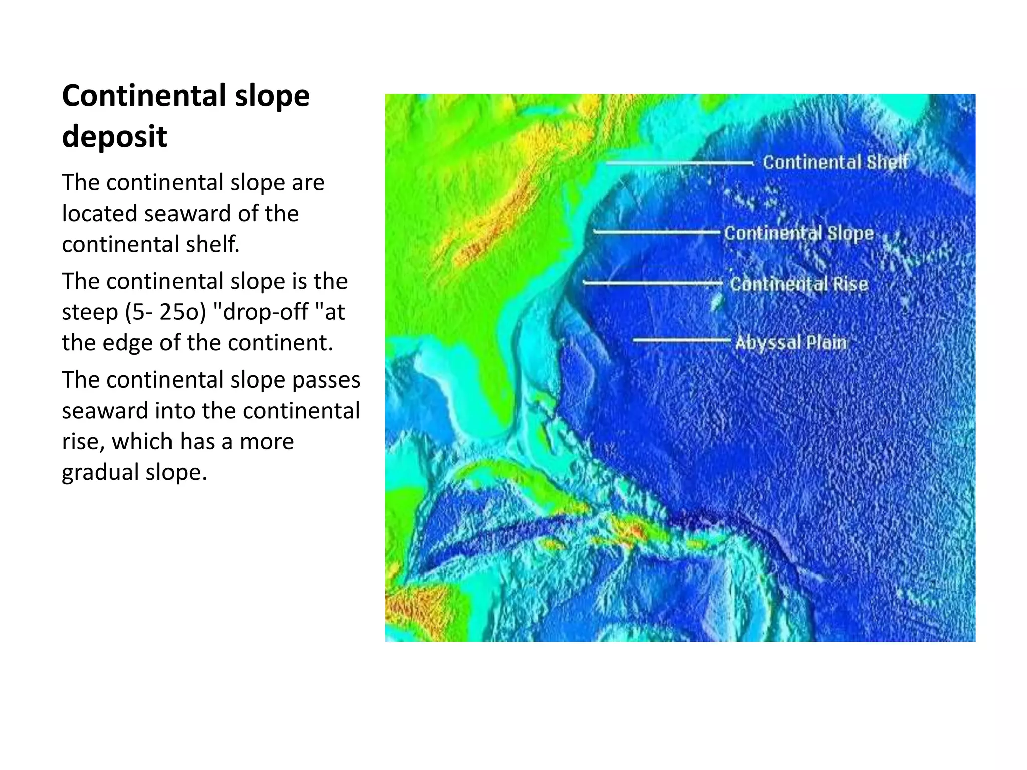 Sedimentary depositional environments | PPTX