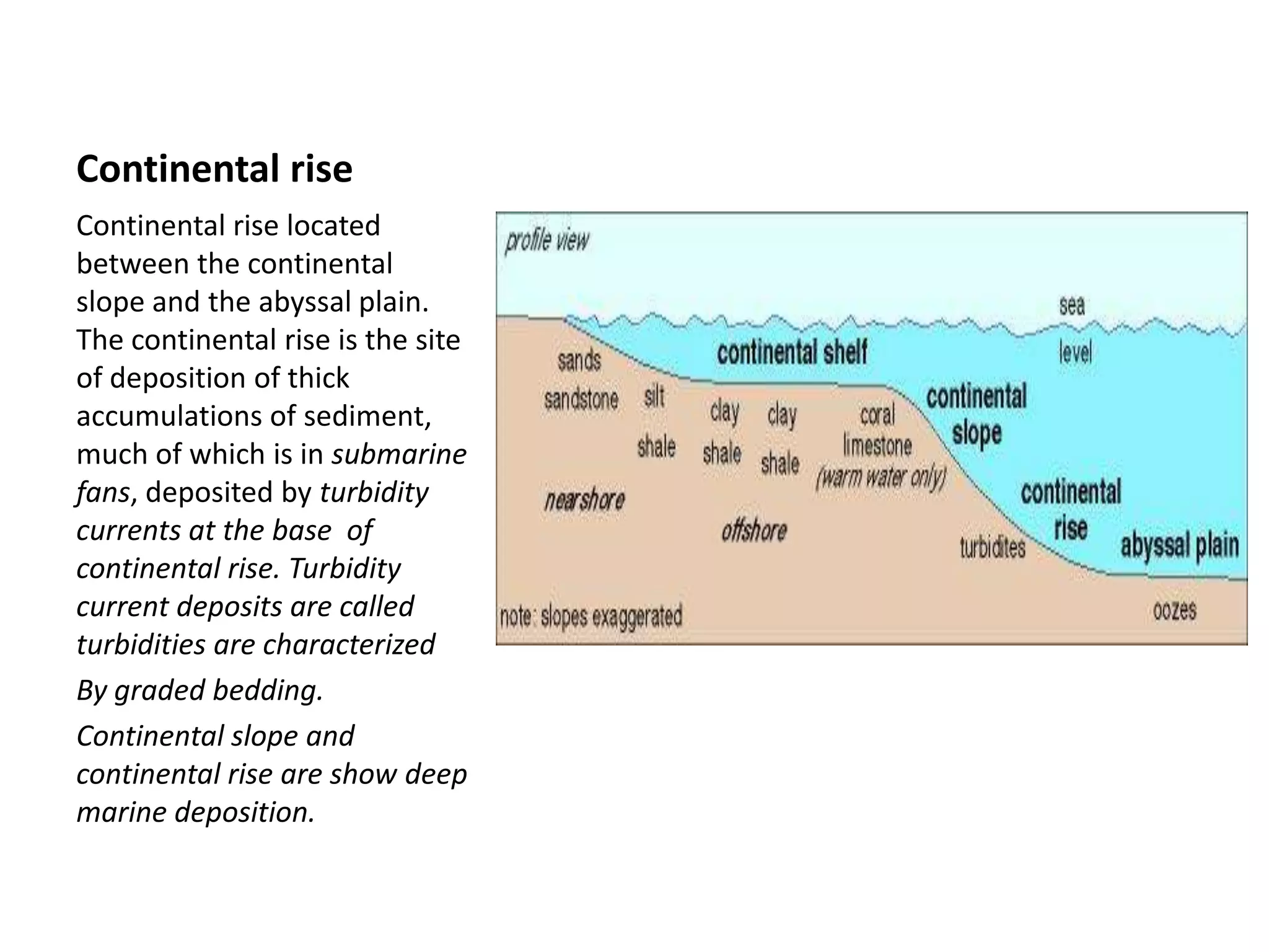 Sedimentary depositional environments | PPTX