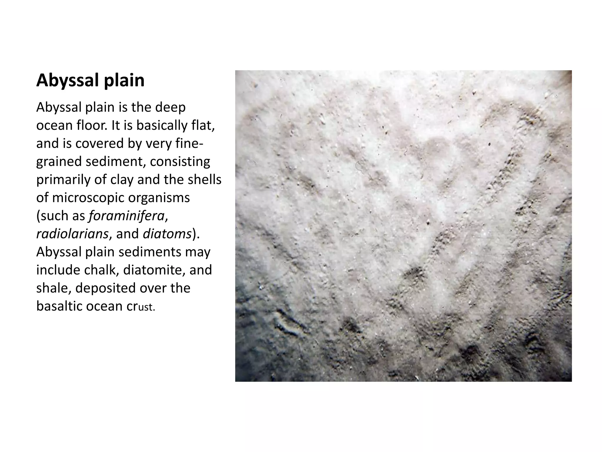 Sedimentary depositional environments | PPTX