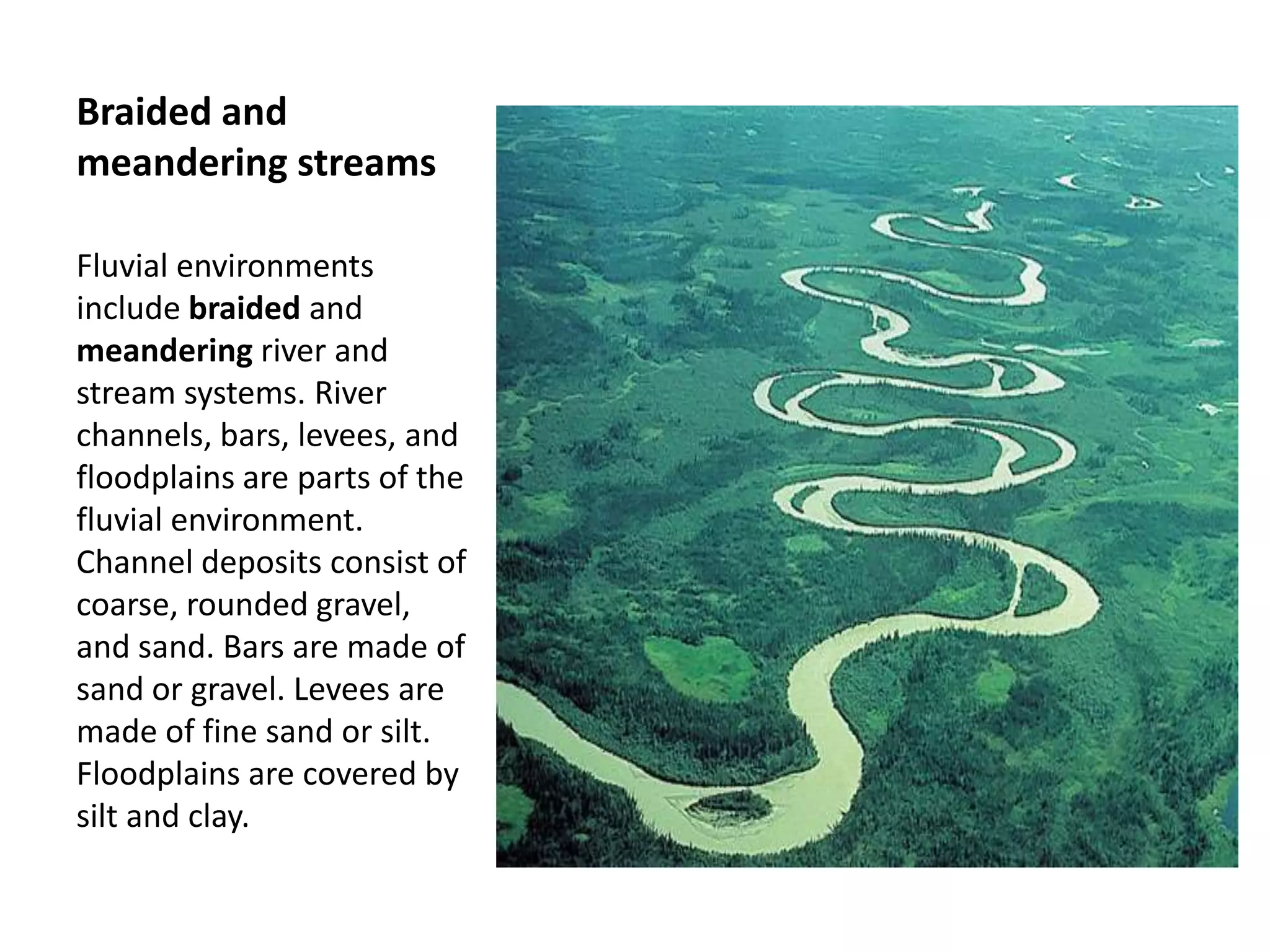 Sedimentary depositional environments | PPTX