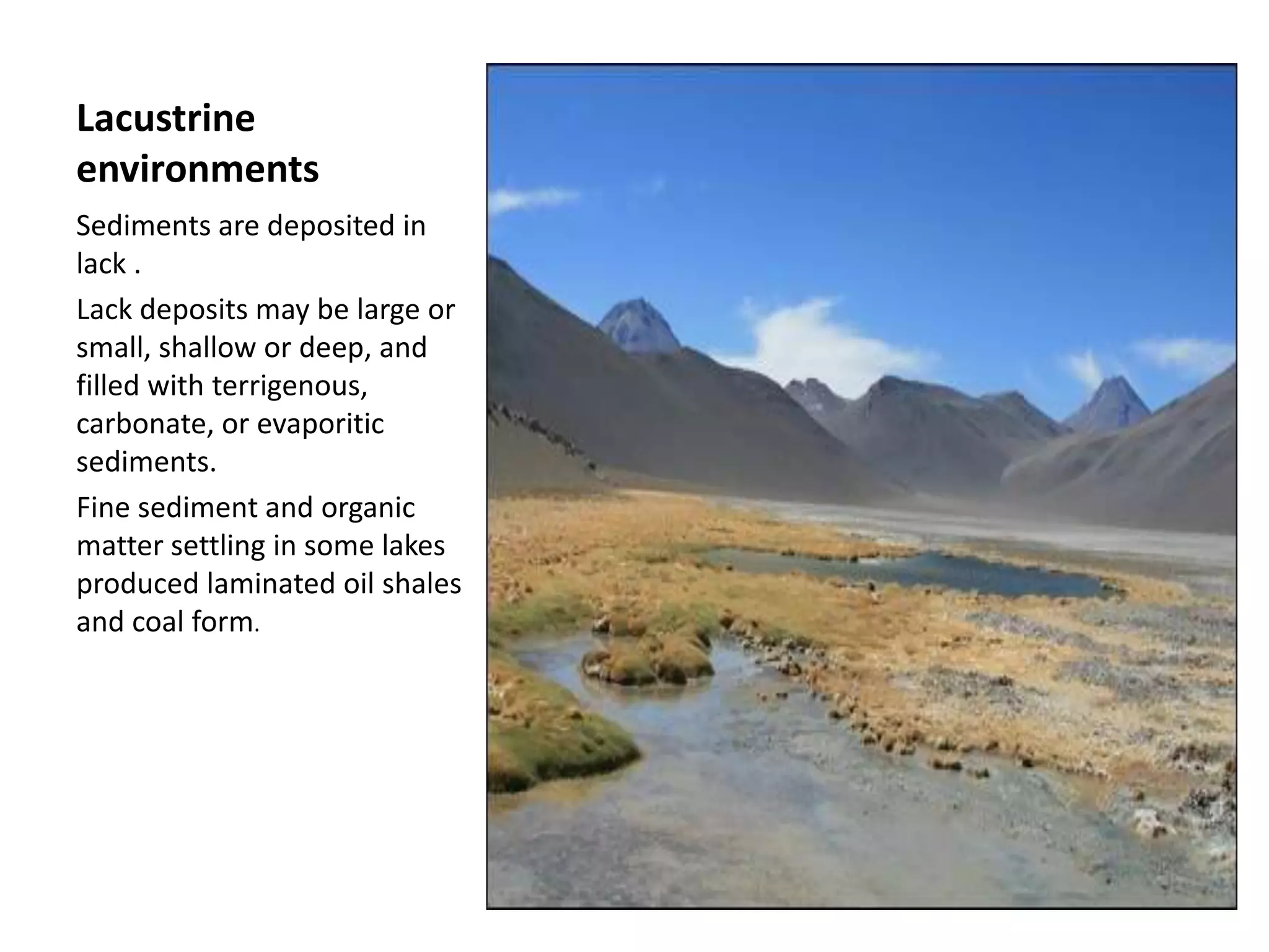 Sedimentary depositional environments | PPTX