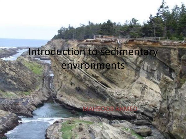 Sedimentary depositional environments | PPTX