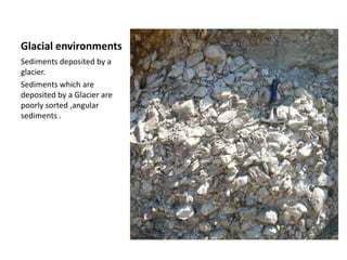 Sedimentary depositional environments | PPTX