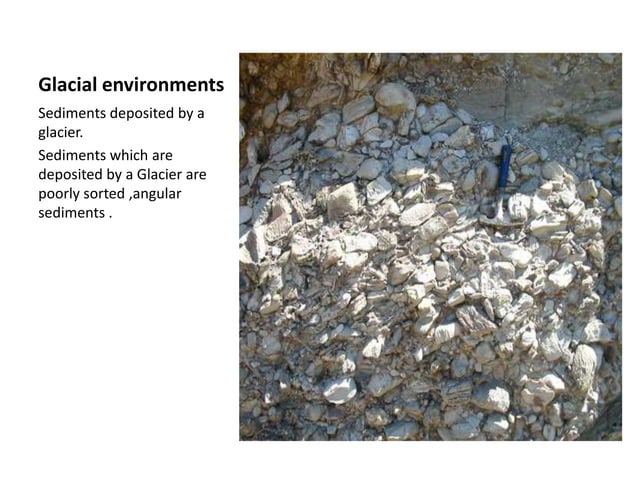 Sedimentary depositional environments | PPTX