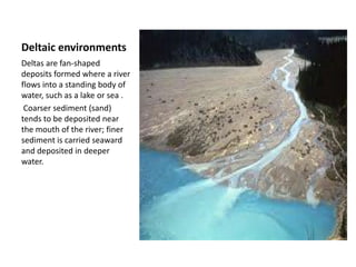 Sedimentary depositional environments | PPTX