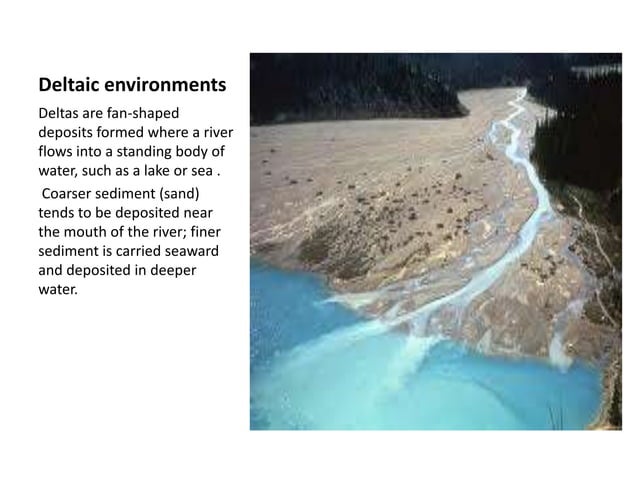 Sedimentary depositional environments | PPTX