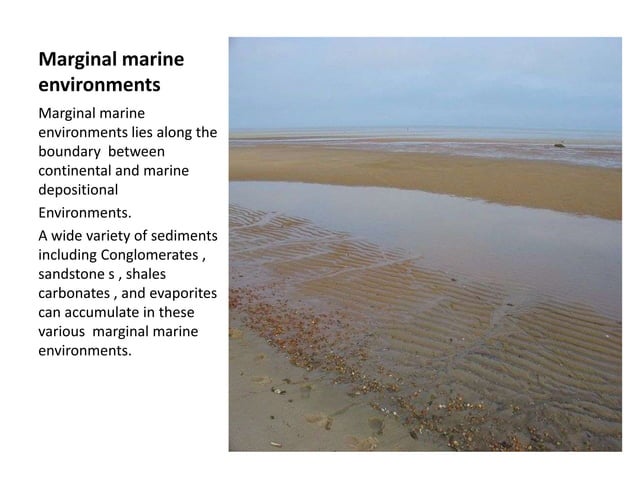 Sedimentary depositional environments | PPTX