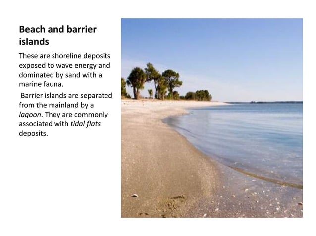 Sedimentary depositional environments | PPTX