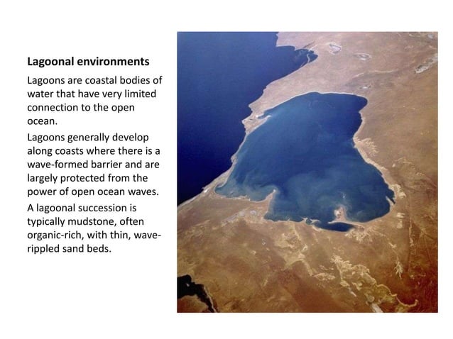Sedimentary depositional environments | PPTX