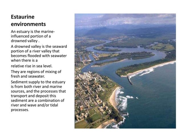 Sedimentary depositional environments | PPTX