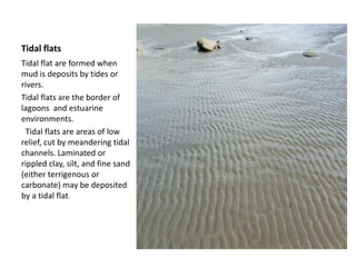Sedimentary depositional environments | PPTX
