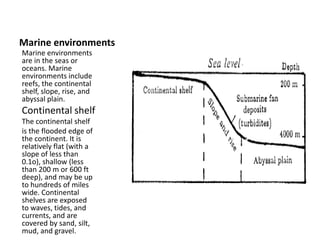 Sedimentary depositional environments | PPTX