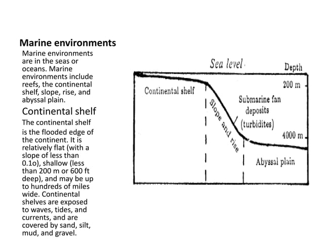 Sedimentary depositional environments | PPTX