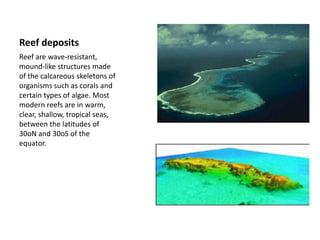 Sedimentary depositional environments | PPTX