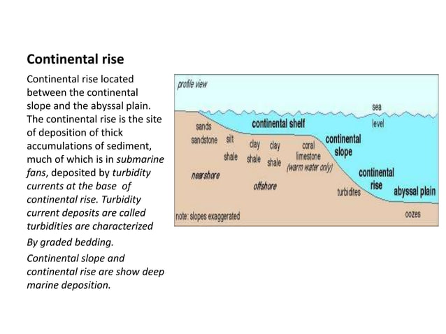 Sedimentary depositional environments | PPTX