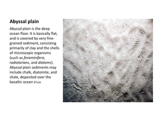 Sedimentary depositional environments | PPTX
