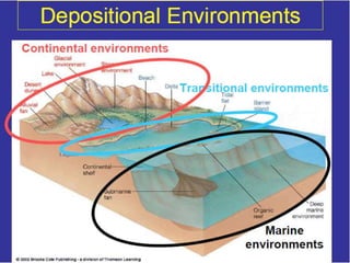 Sedimentary depositional environments | PPTX